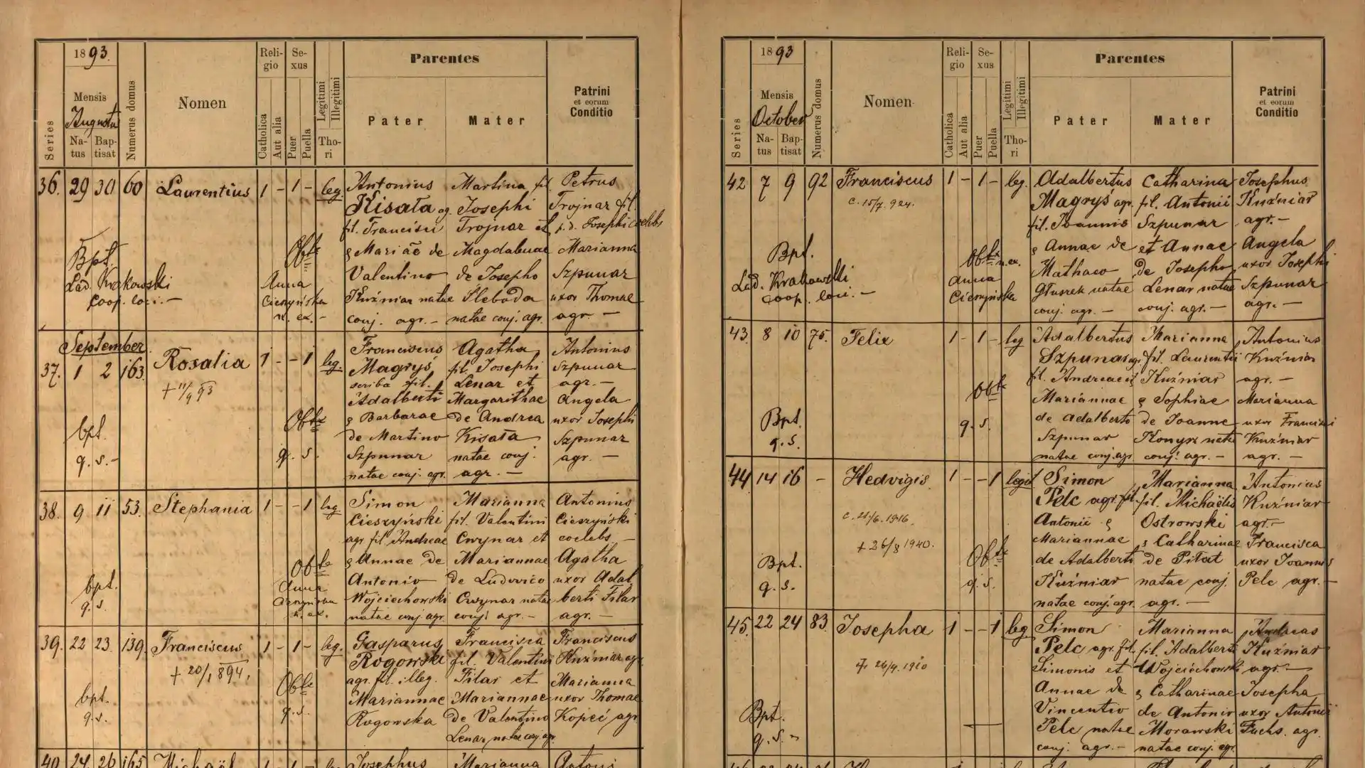 Polish Ancestry Records - The Polish Genealogist